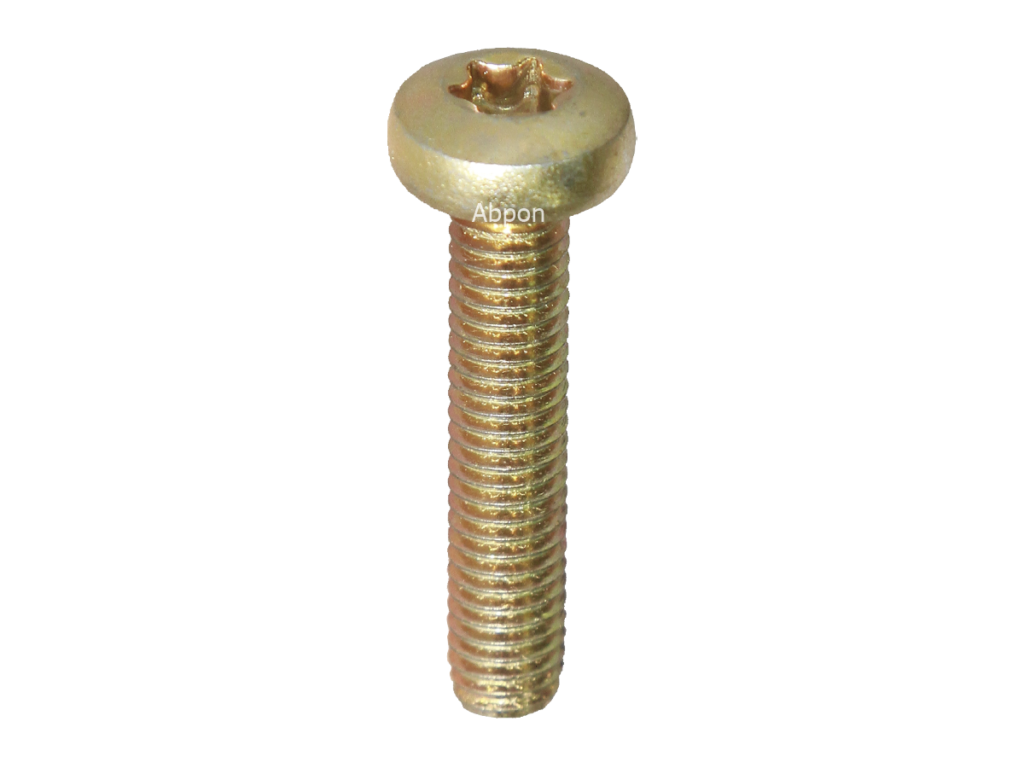 Pan Head Screw with Torx Recess Tap Tite (Cyl.Screw MRT TT) - Abpon Thai